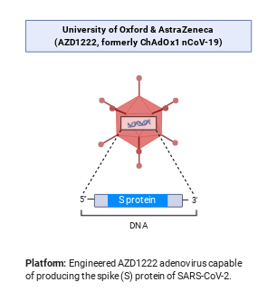 COVID-19 Vaccine Candidate: AZD1222 (University of Oxford & AstraZeneca ...