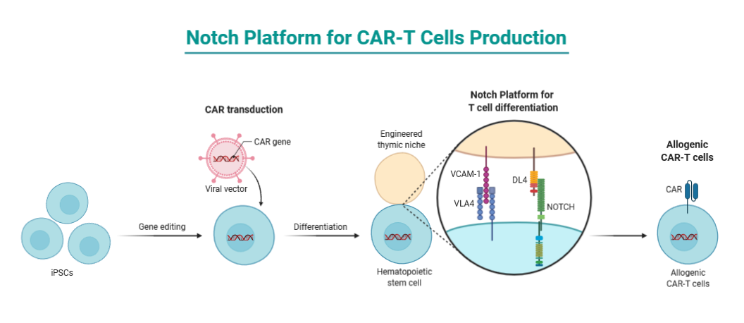 Notch Platform for CAR-T Cells Production | BioRender Science Templates