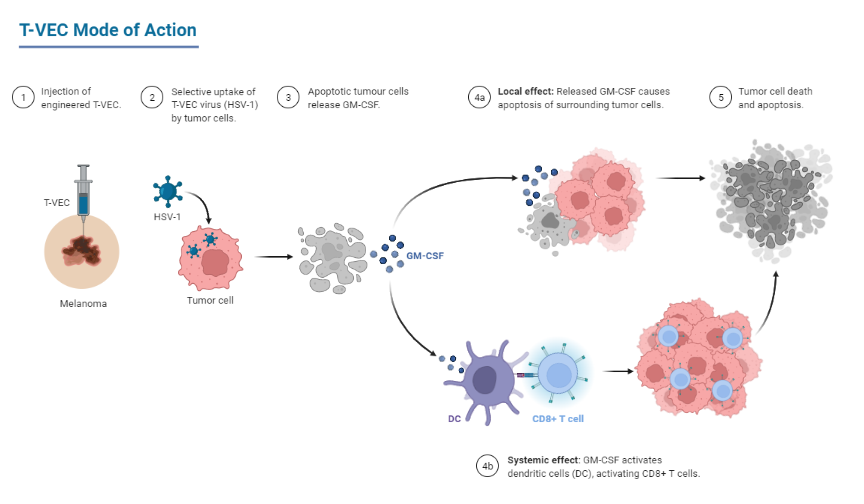 T-Vec Mode of Action | BioRender Science Templates