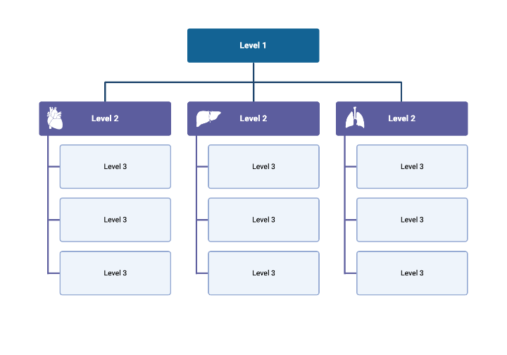 Flow Chart (3 Levels, Vertical) 4 | BioRender Science Templates