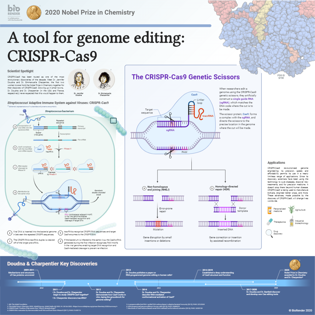 2020 Nobel Prize in Chemistry: A Tool for Genome Editing (CRISPR-Cas9 ...