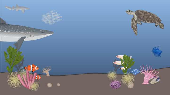 Virtual Background - Ocean | BioRender Science Templates