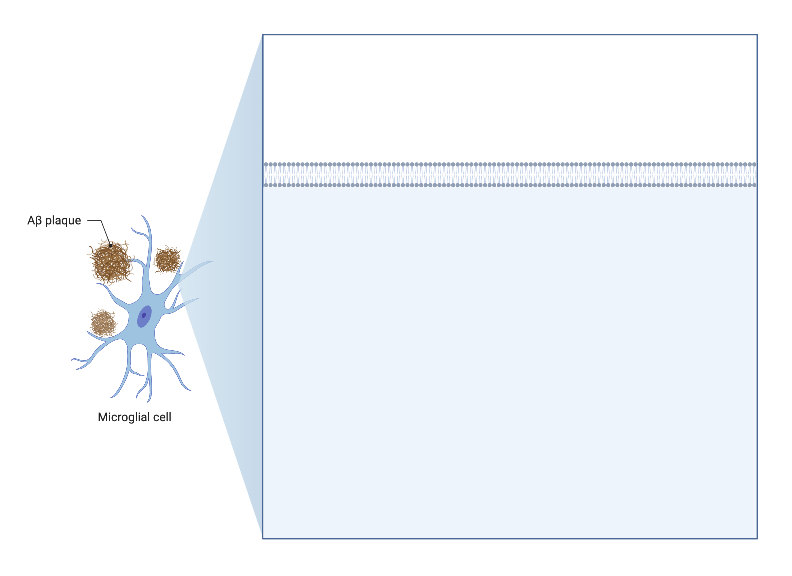 Microglia of Alzheimer's Patients with Callout (Layout) | BioRender ...