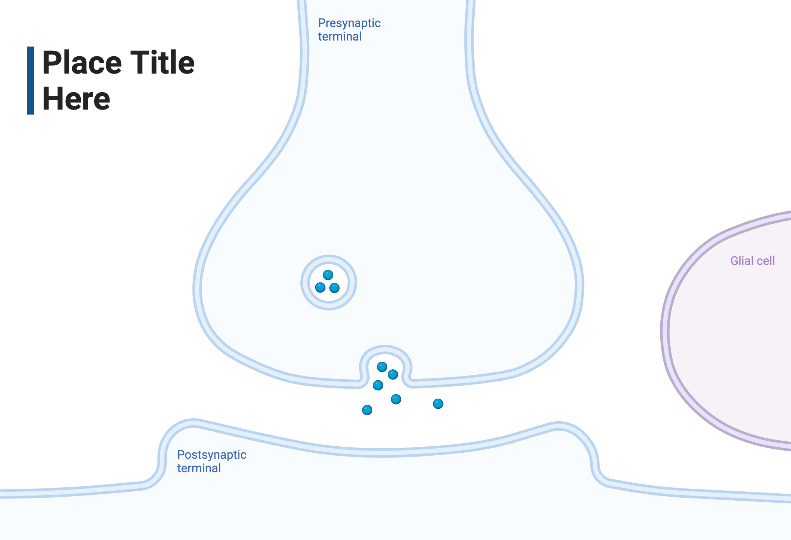 Chemical Synapse with Glial Cell (Layout) | BioRender Science Templates