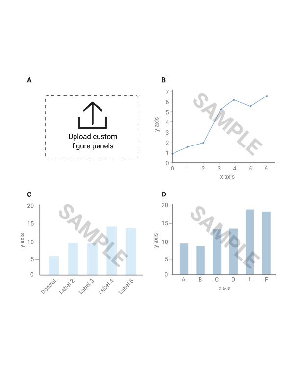 Easy Figure Builder (2x2, with Preset Guides and Labels) | BioRender ...