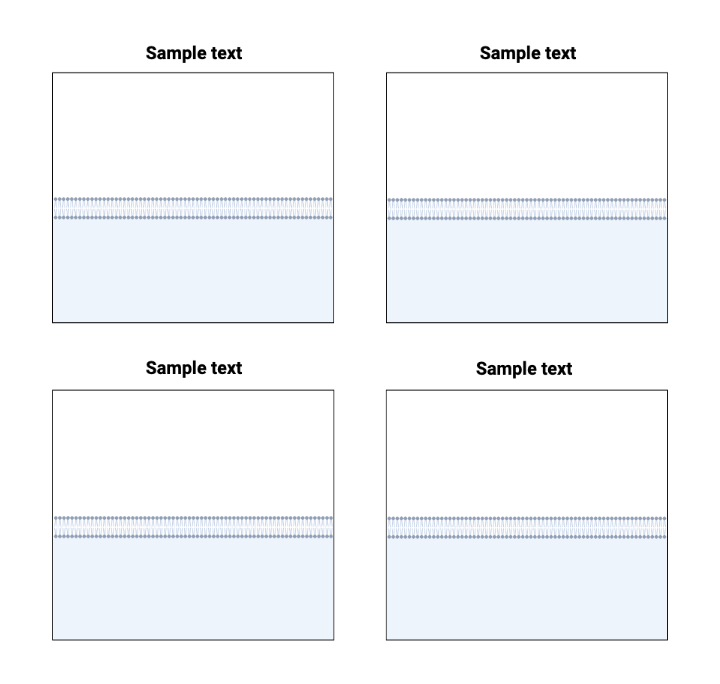 Plasma Membrane and Cytoplasm (Layout 2x2) | BioRender Science Templates