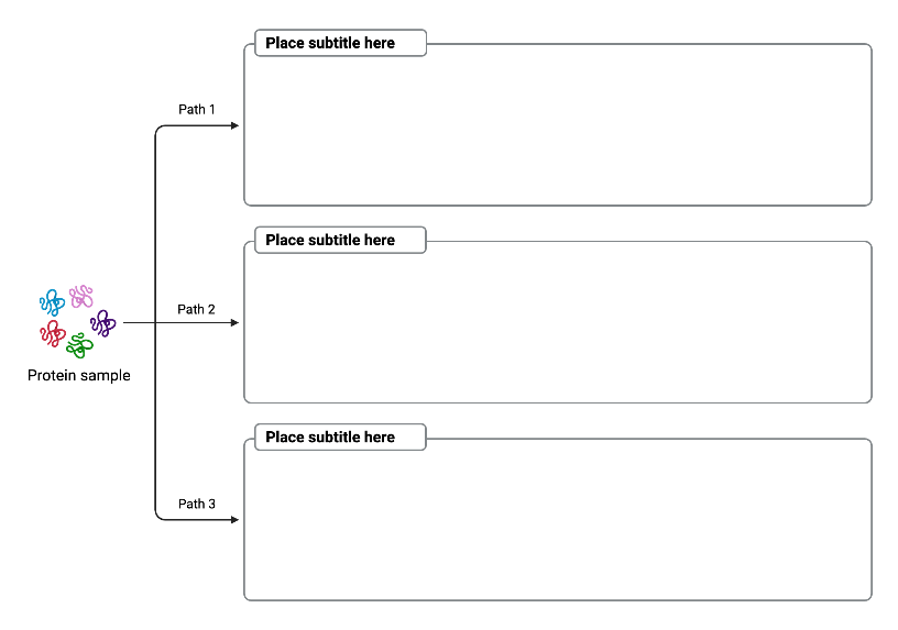 Protein Sample Panels (Layout 1x3) | BioRender Science Templates