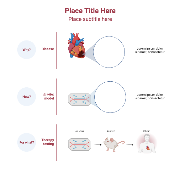 Heart Disease Therapy Testing (Layout) | BioRender Science Templates