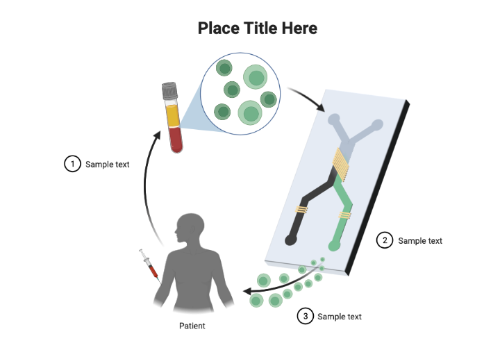 Microfluidic Device with Patient's Cells (Layout) | BioRender Science ...