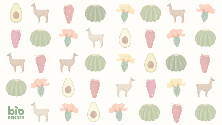 Virtual Background - Tropical | BioRender Science Templates