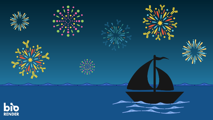 Virtual Background - Fireworks | BioRender Science Templates