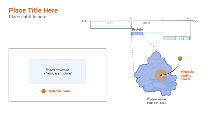 Drug Molecule Binding Pocket (Layout) | BioRender Science Templates