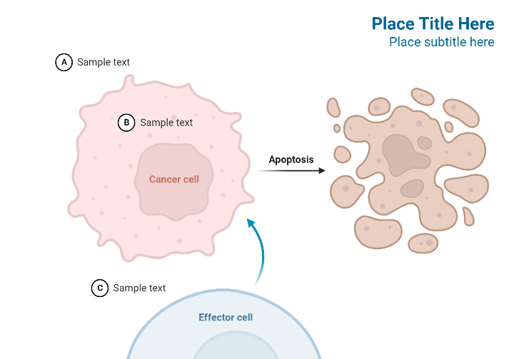 Cancer Cell Therapy (Layout) | BioRender Science Templates