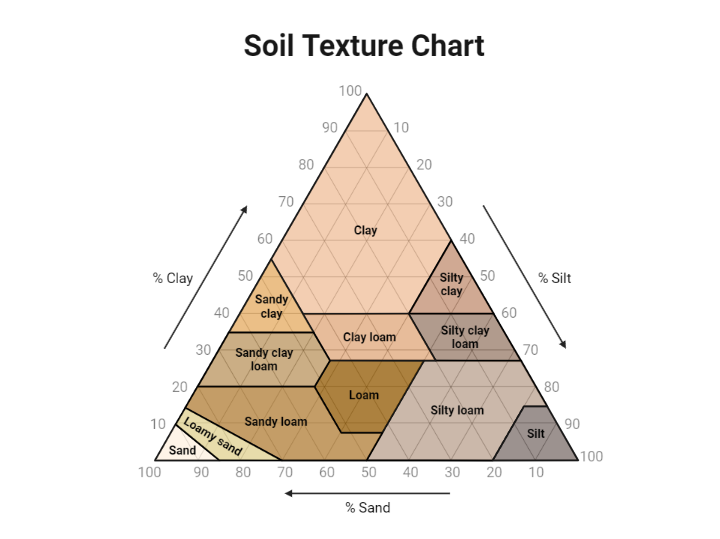 Soil Texture Chart BioRender Science Templates