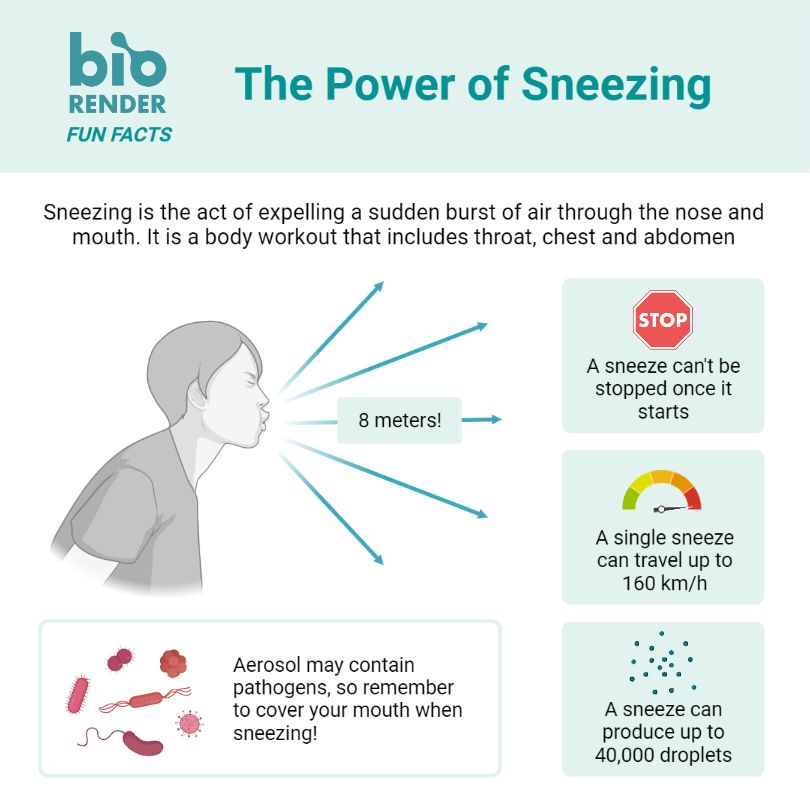 The Power of Sneezing | BioRender Science Templates