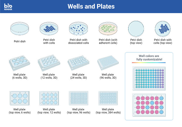Icon Pack - Wells and Plates | BioRender Science Templates