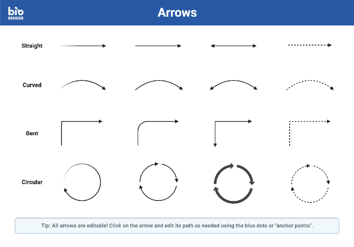 Icon Pack - Arrows | BioRender Science Templates