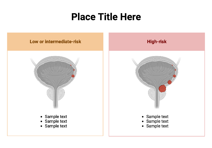 Cancer Risk Assessment (Layout, 2x1) | BioRender Science Templates