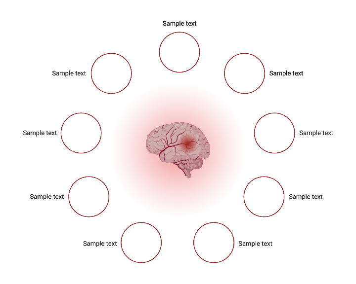 Stroke Circle Diagram (Layout) | BioRender Science Templates