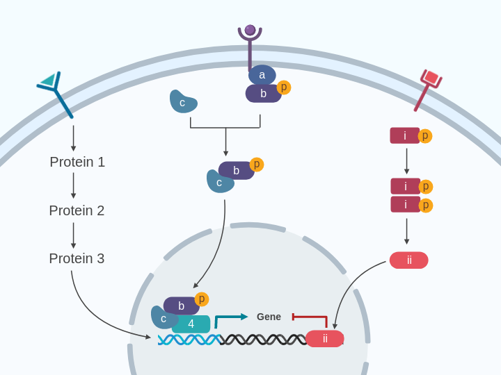 Blank Pathway (Round Landscape) | BioRender Science Templates
