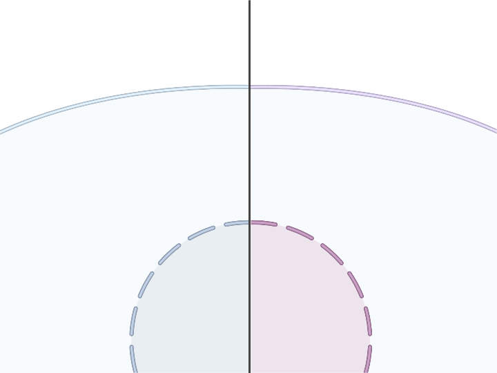 Intracellular Comparison (Curved) | BioRender Science Templates