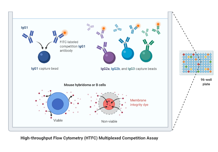 HTFC Multiplexed Competition Assay | BioRender Science Templates