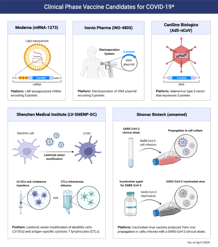 Clinical Phase Vaccine Candidates for COVID-19 | BioRender Science ... Clinical Phase Vaccine Candidates for COVID-19 | BioRender Science ...
