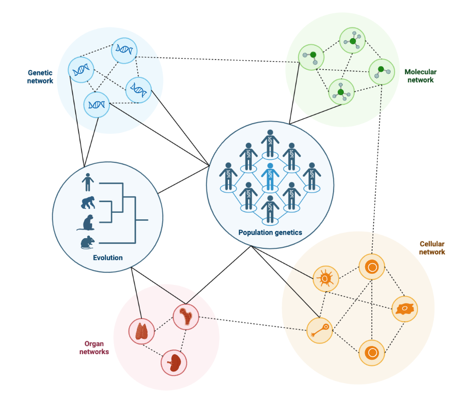 Systems Biology Network | BioRender Science Templates