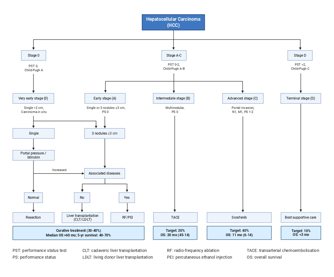 Barcelona Clinic Liver Cancer (BCLC) Staging System | BioRender Science ...