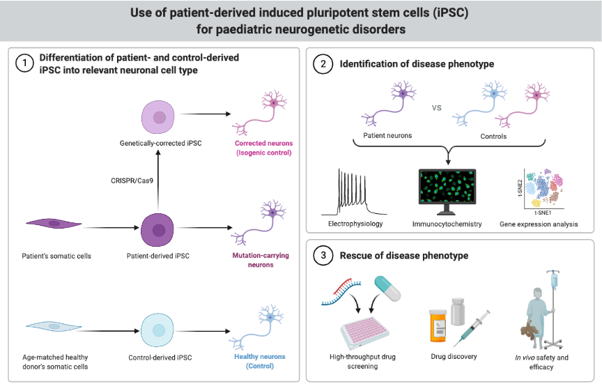 iPSC-Based Disease Modeling of Childhood Neurogenetic Disorders ...
