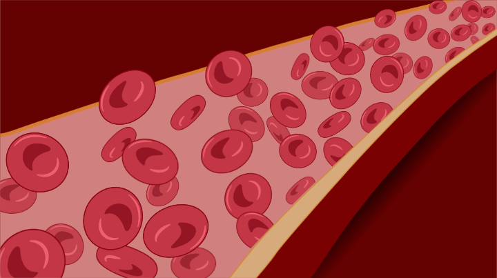 Virtual Background - Blood Vessel | BioRender Science Templates