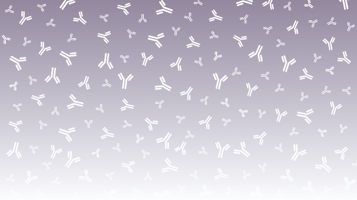 Virtual Background - Antibodies | BioRender Science Templates