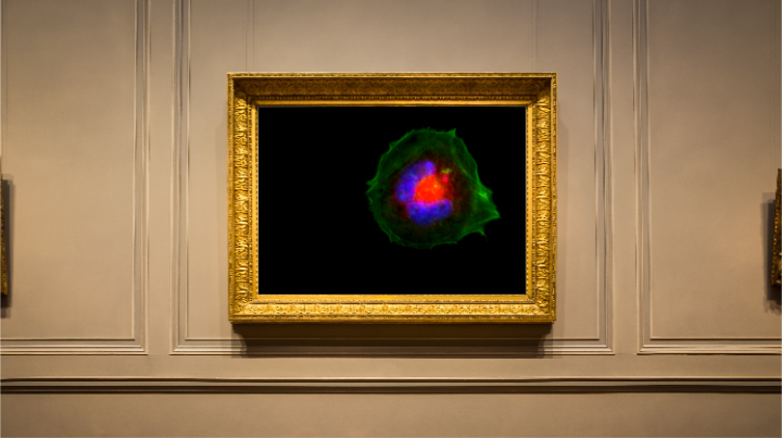 Virtual Background - Frame 4 | BioRender Science Templates