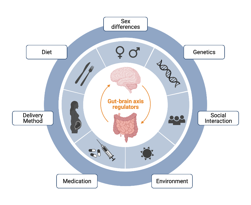 Gut-Brain Axis Regulators | BioRender Science Templates