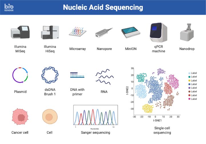 Icon Pack - Nucleic Acid Sequencing | BioRender Science Templates