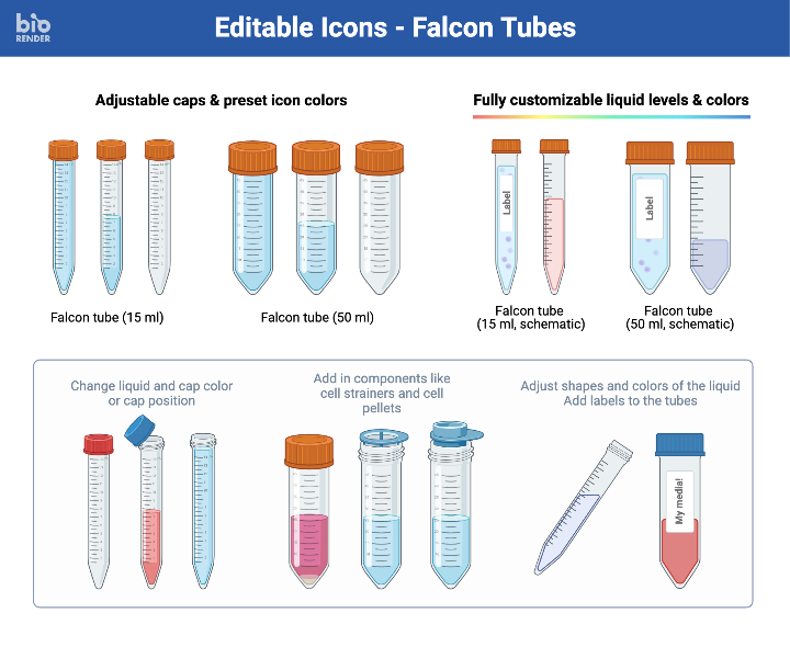 Editable Icons - Falcon Tubes | BioRender Science Templates