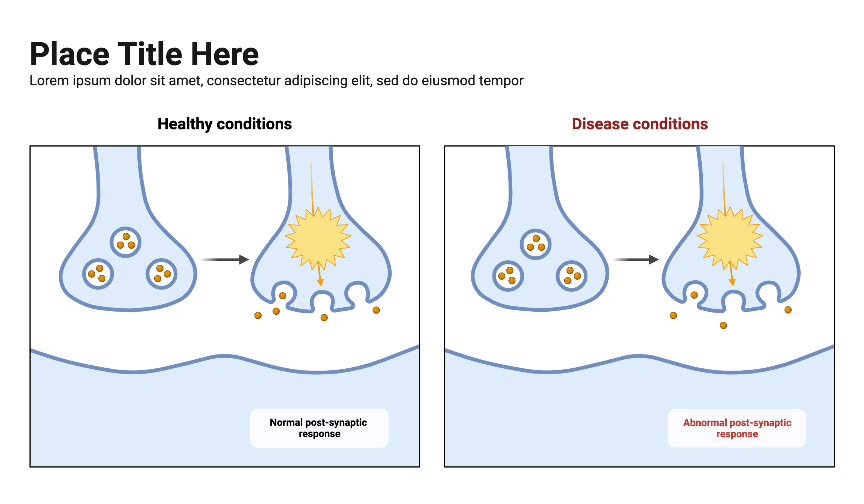 Comparison Between Normal And Abnormal Synaptic Transmission Layout