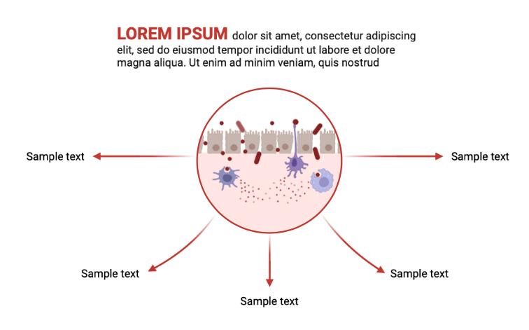 Gut Microbiome Circular Layout | BioRender Science Templates