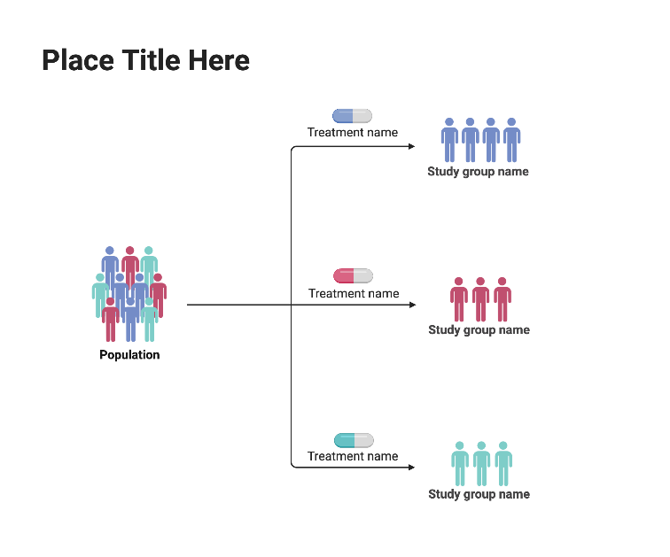 Population Pharmacokinetics Study (Layout) | BioRender Science Templates