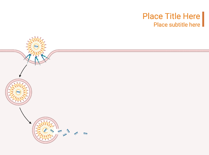Solid Lipid Nanoparticle Delivery Pathway (Layout) | BioRender Science ...