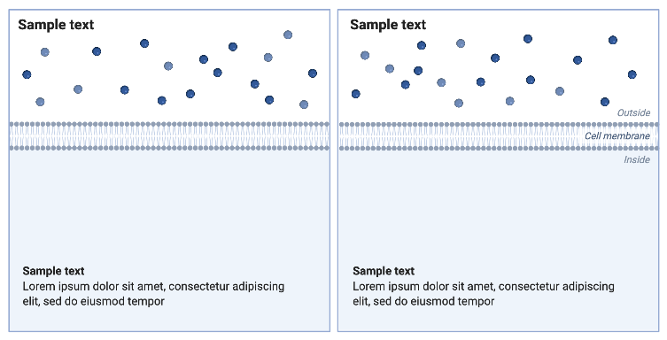 Plasma Membrane and Cytoplasm, Intracellular, Horizontal (Layout 2x1 ...