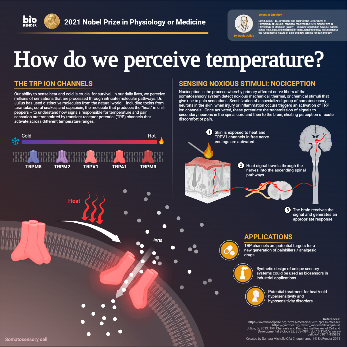 2021 Nobel Prize in Physiology or Medicine: Temperature Perception ...