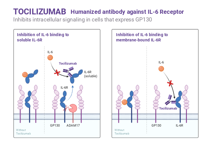 Tocilizumab Humanized Antibody Against IL-6R | BioRender Science Templates