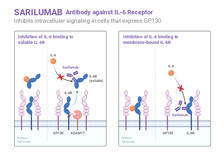 Sarilumab Antibody against IL-6R | BioRender Science Templates