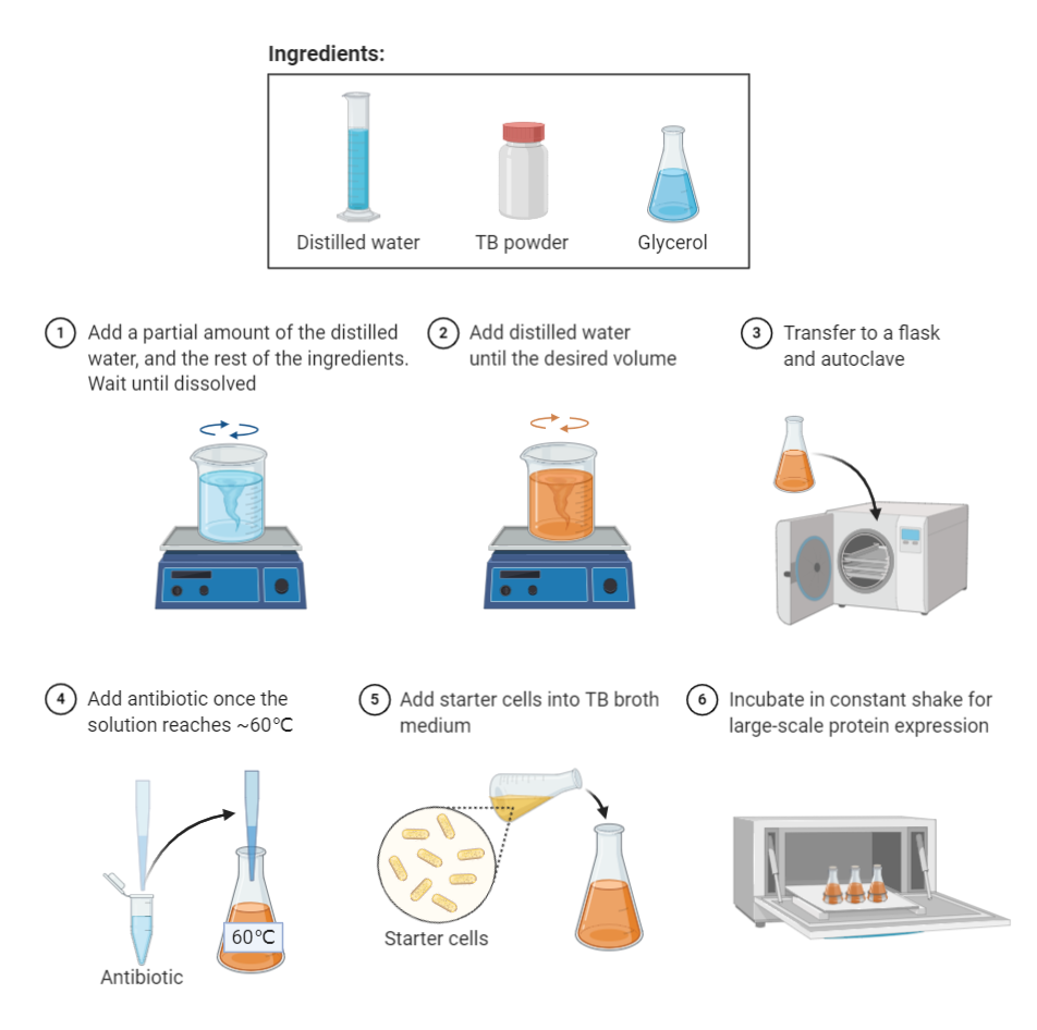TB Medium Preparation for Large Scale Protein Expression | BioRender ...