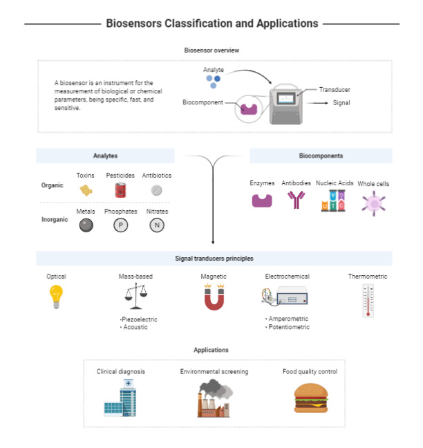 Biosensors Classification And Applications Biorender Science Templates
