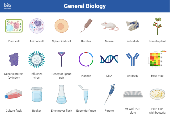 Icon Pack - General Biology | BioRender Science Templates