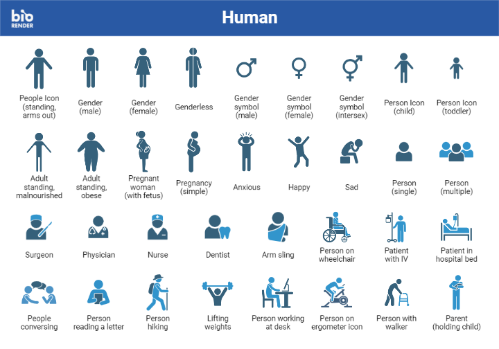 Icon Pack - Human Icons | BioRender Science Templates