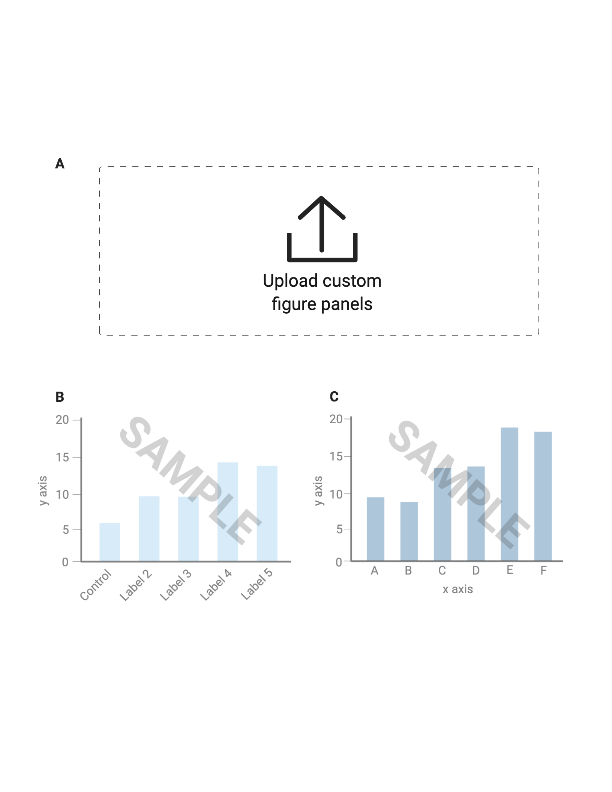 Easy Figure Builder (3 Panels, with Preset Guides and Labels) 2 ...