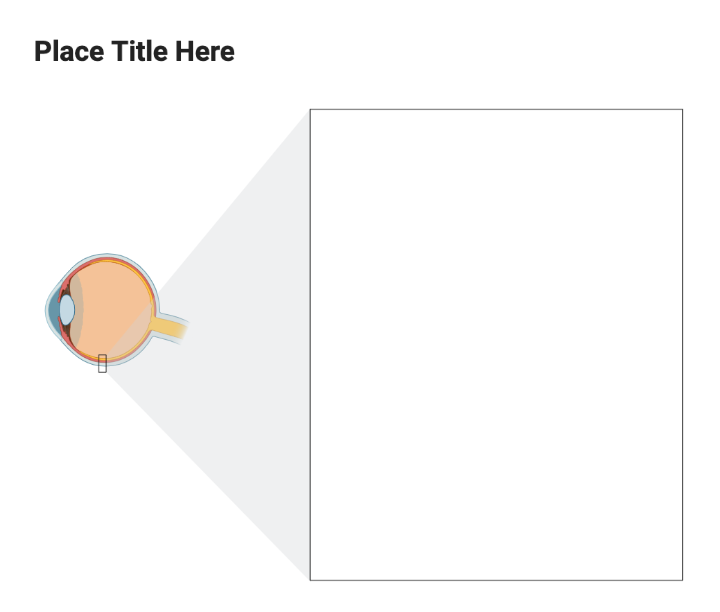 Retina with Callout (Layout) | BioRender Science Templates
